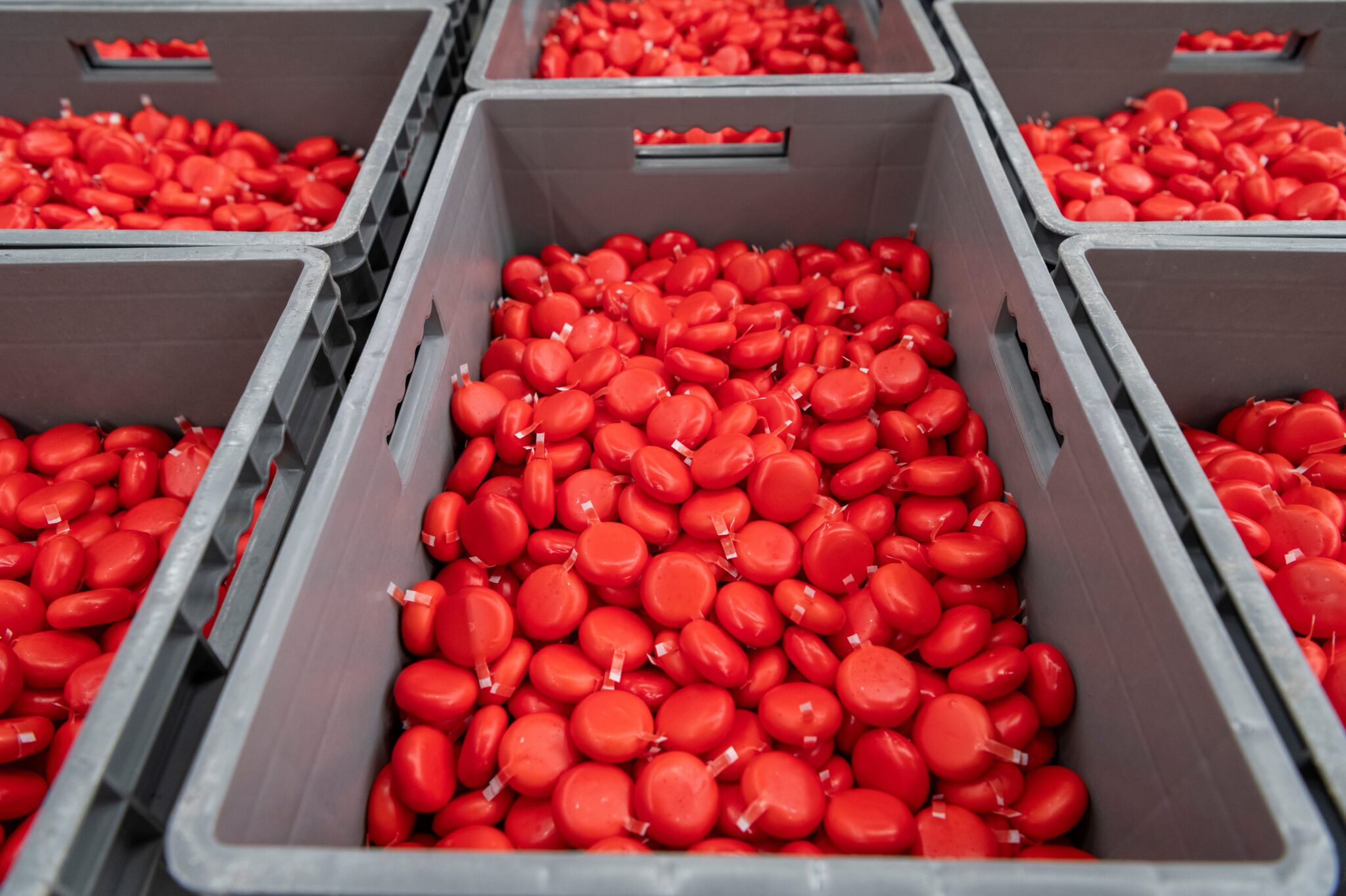 Bel Invests $200 Million to Double Babybel® Production Capacity in ...